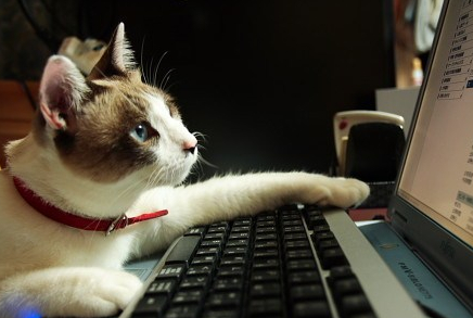 “Working from Home” is a Just a Euphemism for Higher Productivity ...